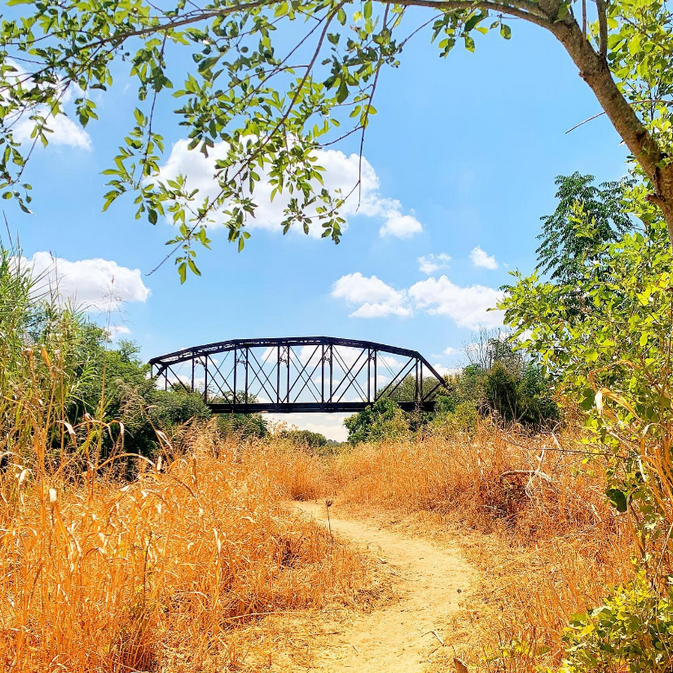 Georgetown Trails Foundation
