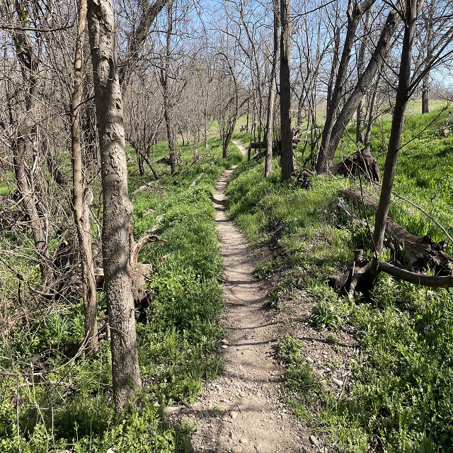 Georgetown Trails Foundation