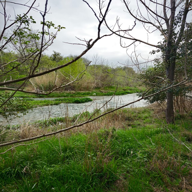 Georgetown Trails Foundation