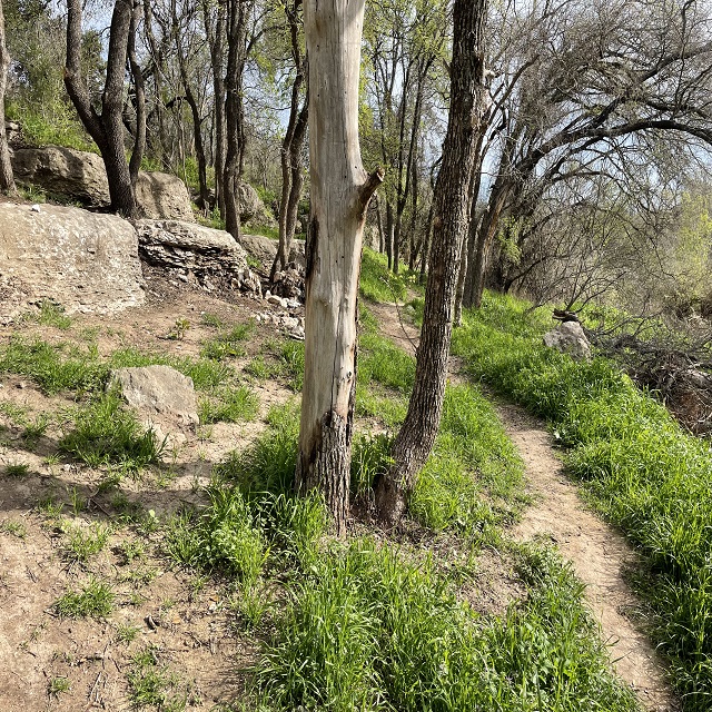 Georgetown Trails Foundation